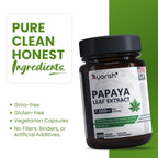 whole food multivitamin for seniors
