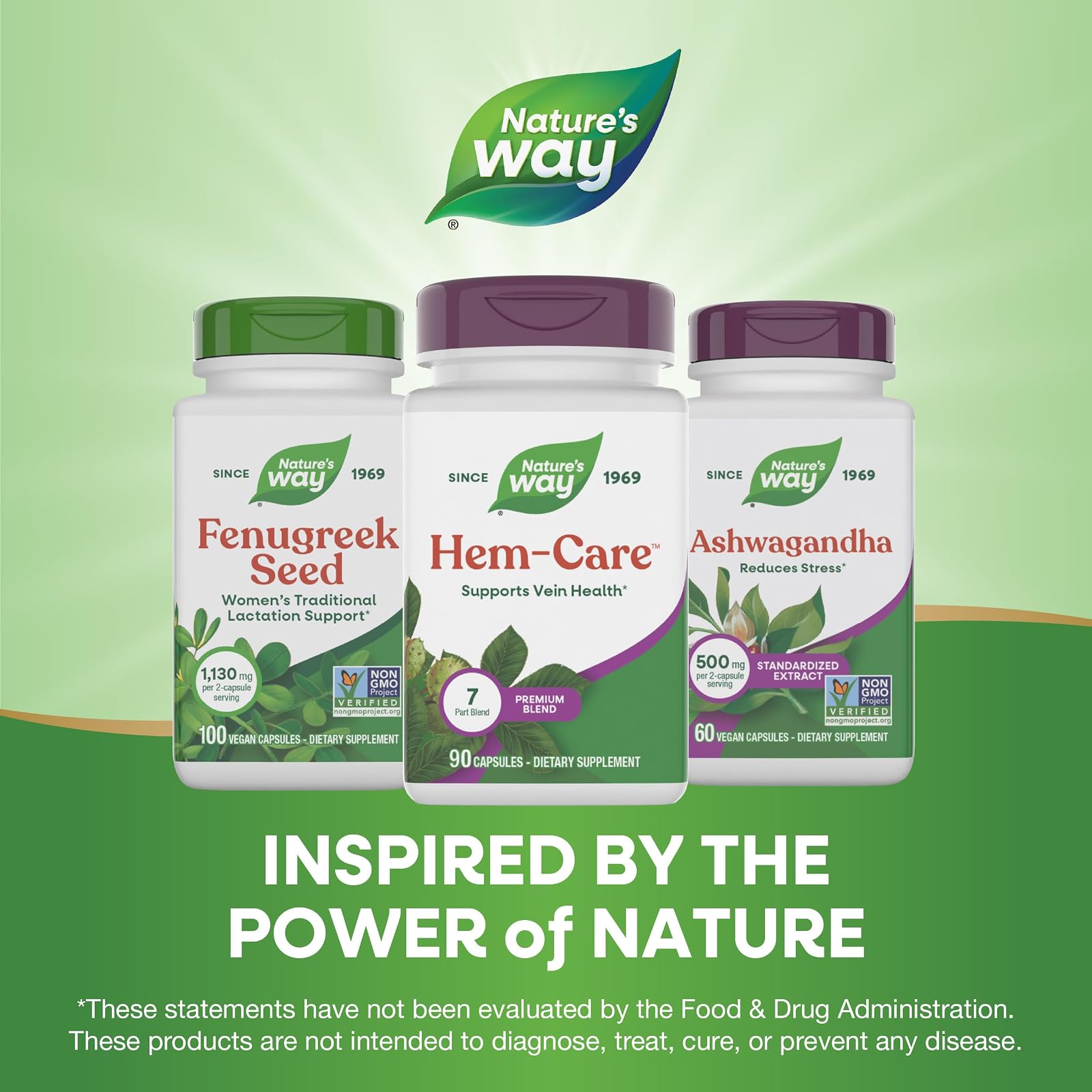 whole food multivitamin for veins