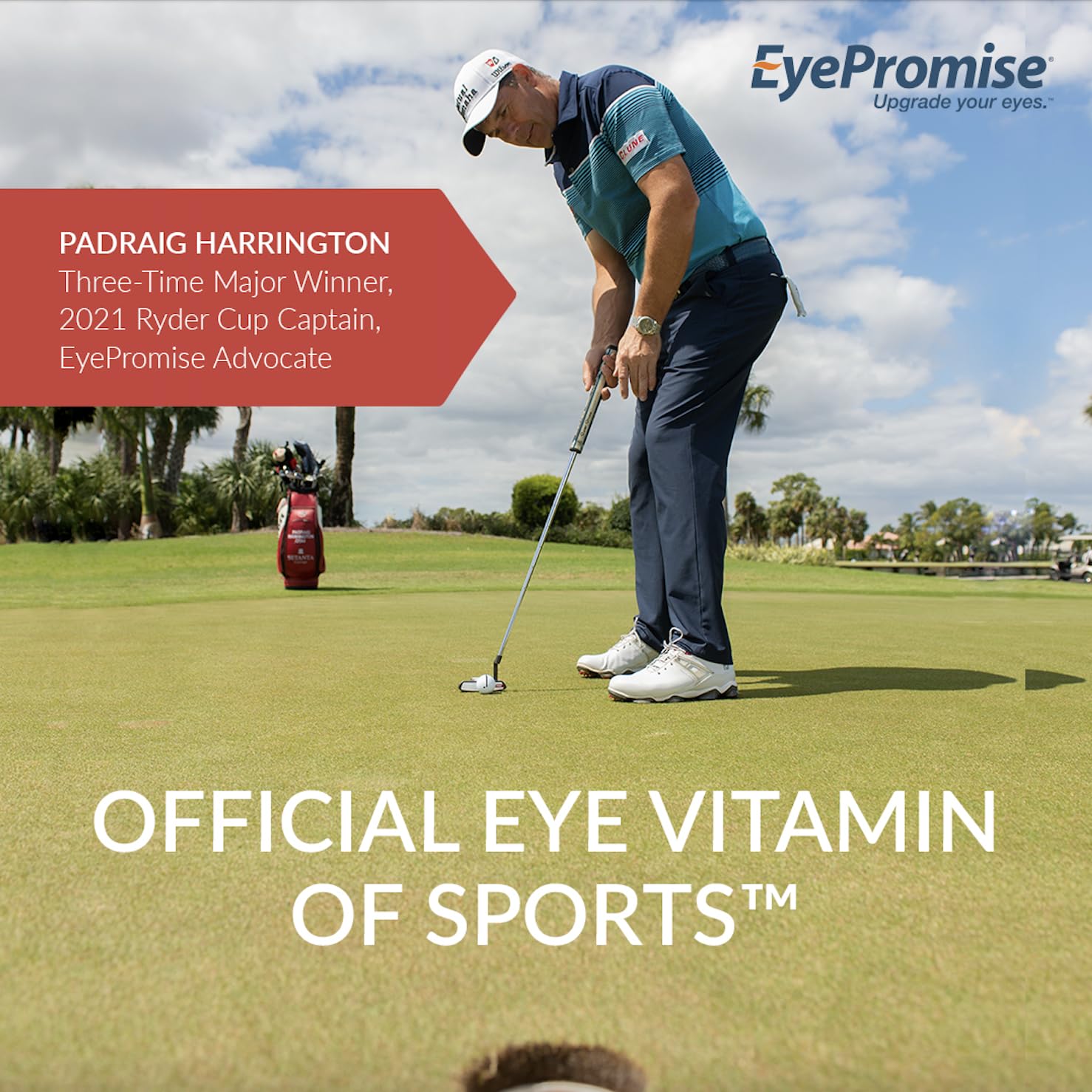 whole food multivitamin for vision support