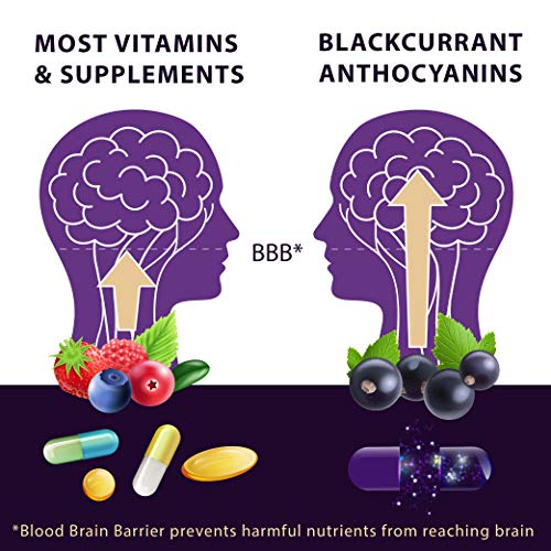 whole food multivitamin for vision