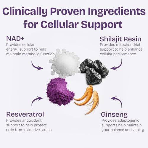 whole food multivitamin for vitality