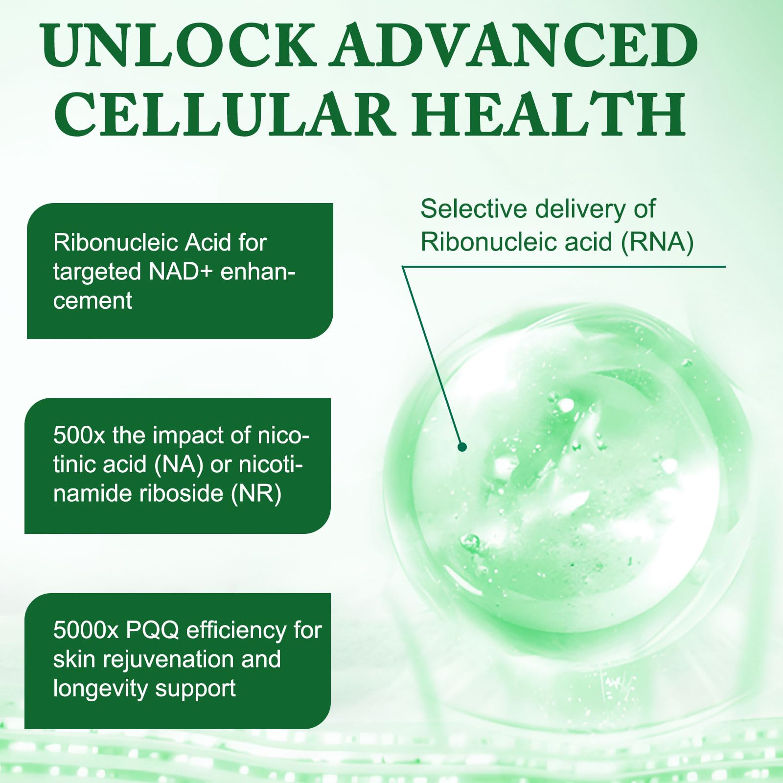 whole food multivitamin for vitality