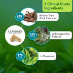 whole food multivitamin for vitality