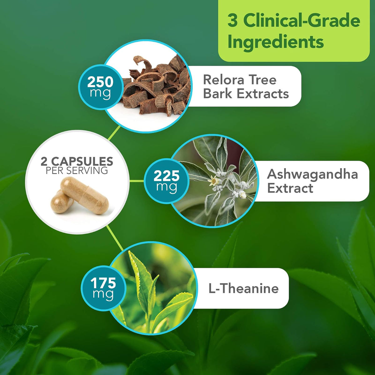 whole food multivitamin for vitality