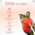 whole food multivitamin for vitality