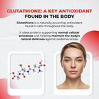 whole food multivitamin for vitality