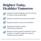 whole food multivitamin for vitality