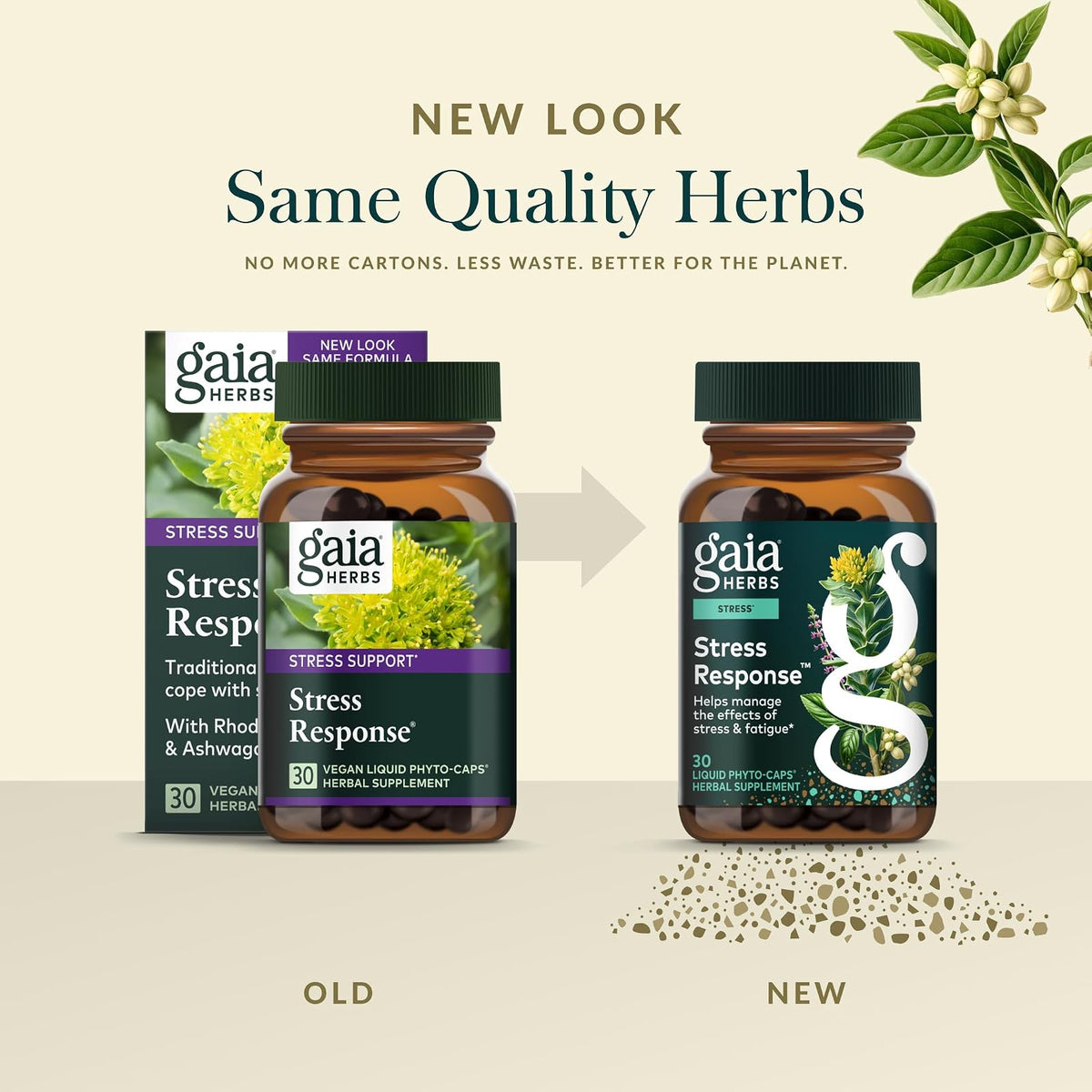 whole food multivitamin for vitality