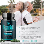 whole food multivitamin for vitality