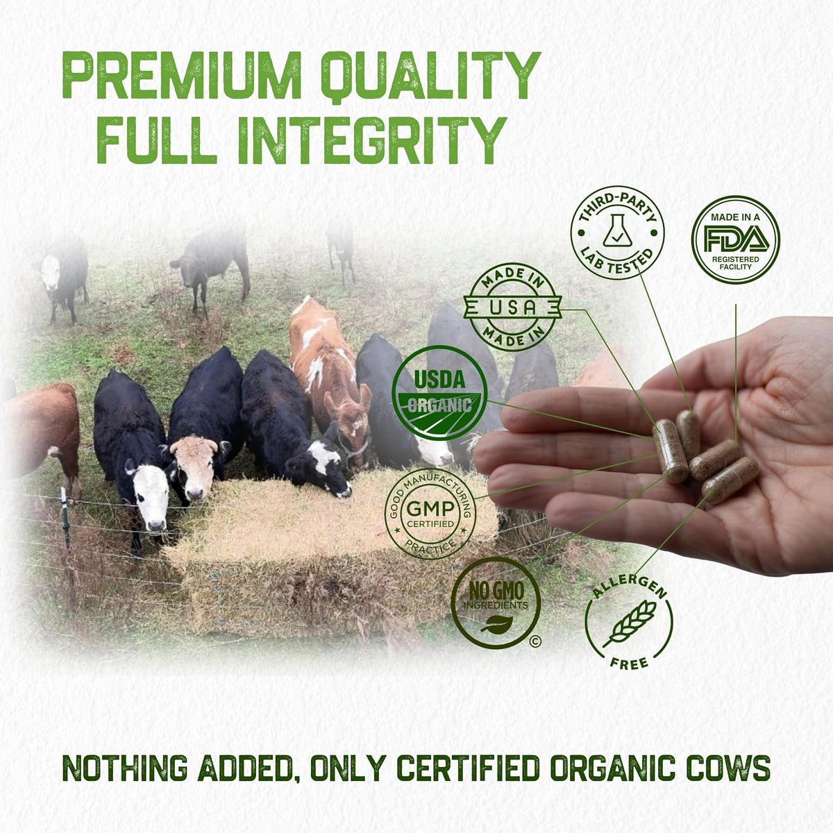 whole food multivitamin for wellness