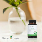 whole food multivitamin for wellness