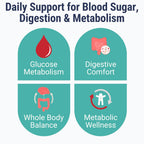 whole food multivitamin for wellness