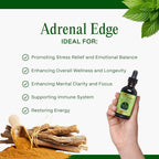whole food multivitamin for wellness