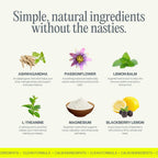 whole food multivitamin for wellness