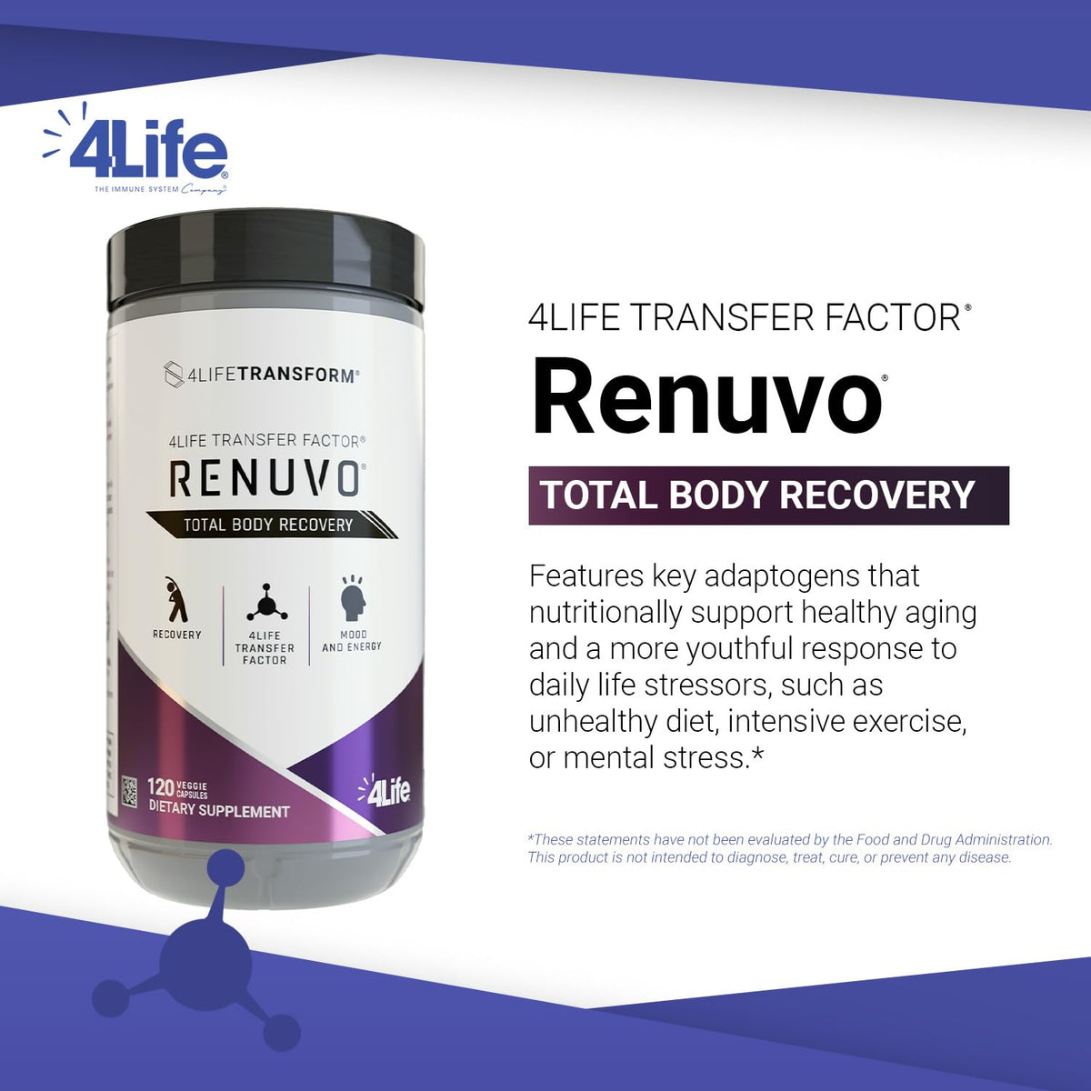 whole food multivitamin for wellness