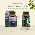 whole food multivitamin for wellness