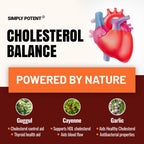 whole food multivitamin for wellness