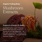 whole food multivitamin for wellness