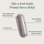 whole food multivitamin for wellness