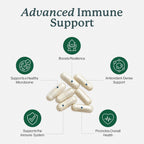 whole food multivitamin for wellness