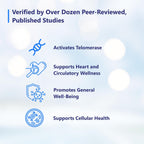 whole food multivitamin for wellness