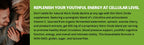 whole food multivitamin for wellness