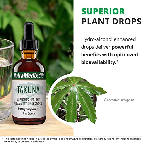 whole food multivitamin for wellness