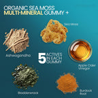 whole food multivitamin for wellness