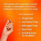 whole food multivitamin for women