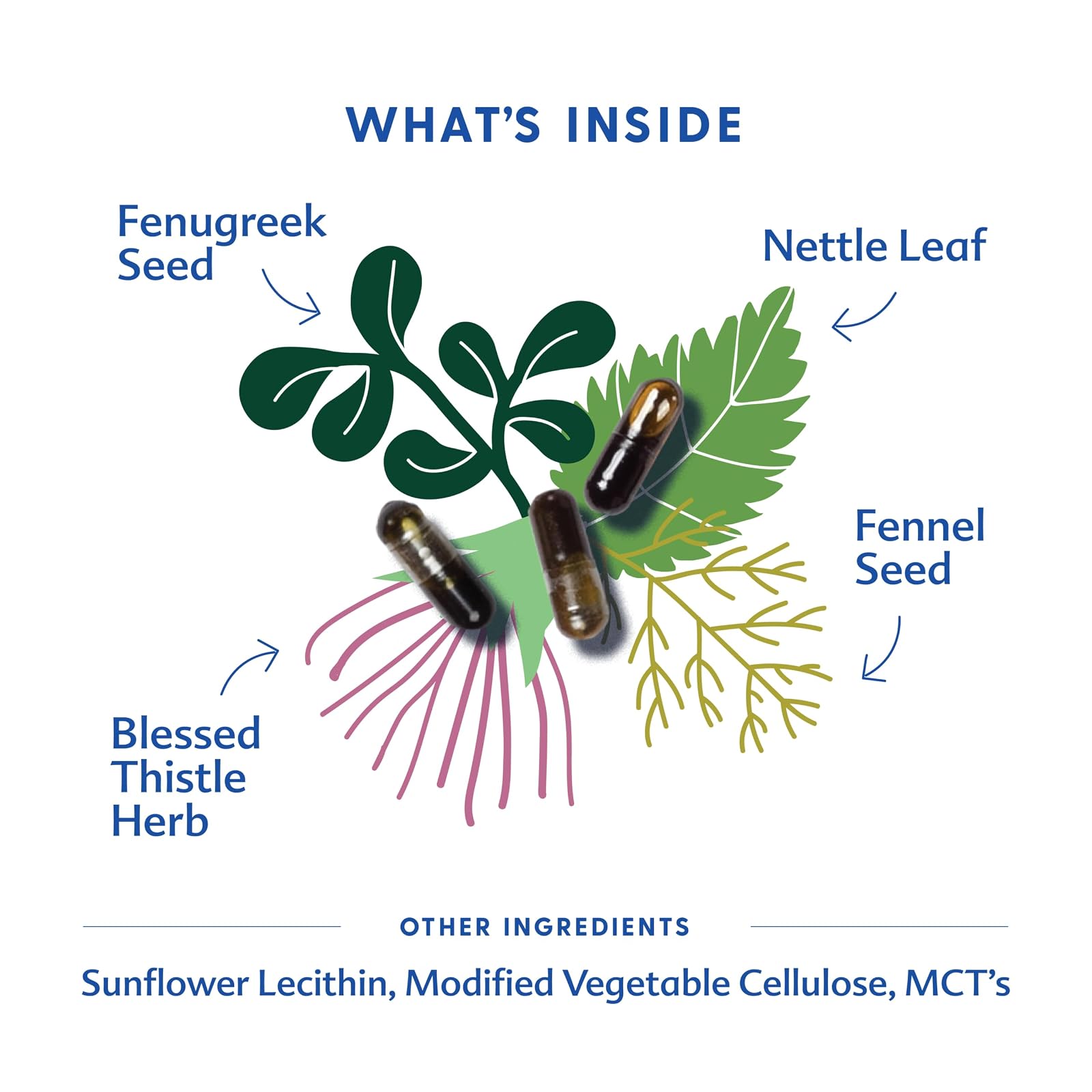 whole food multivitamin for women