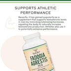whole food multivitamin for women