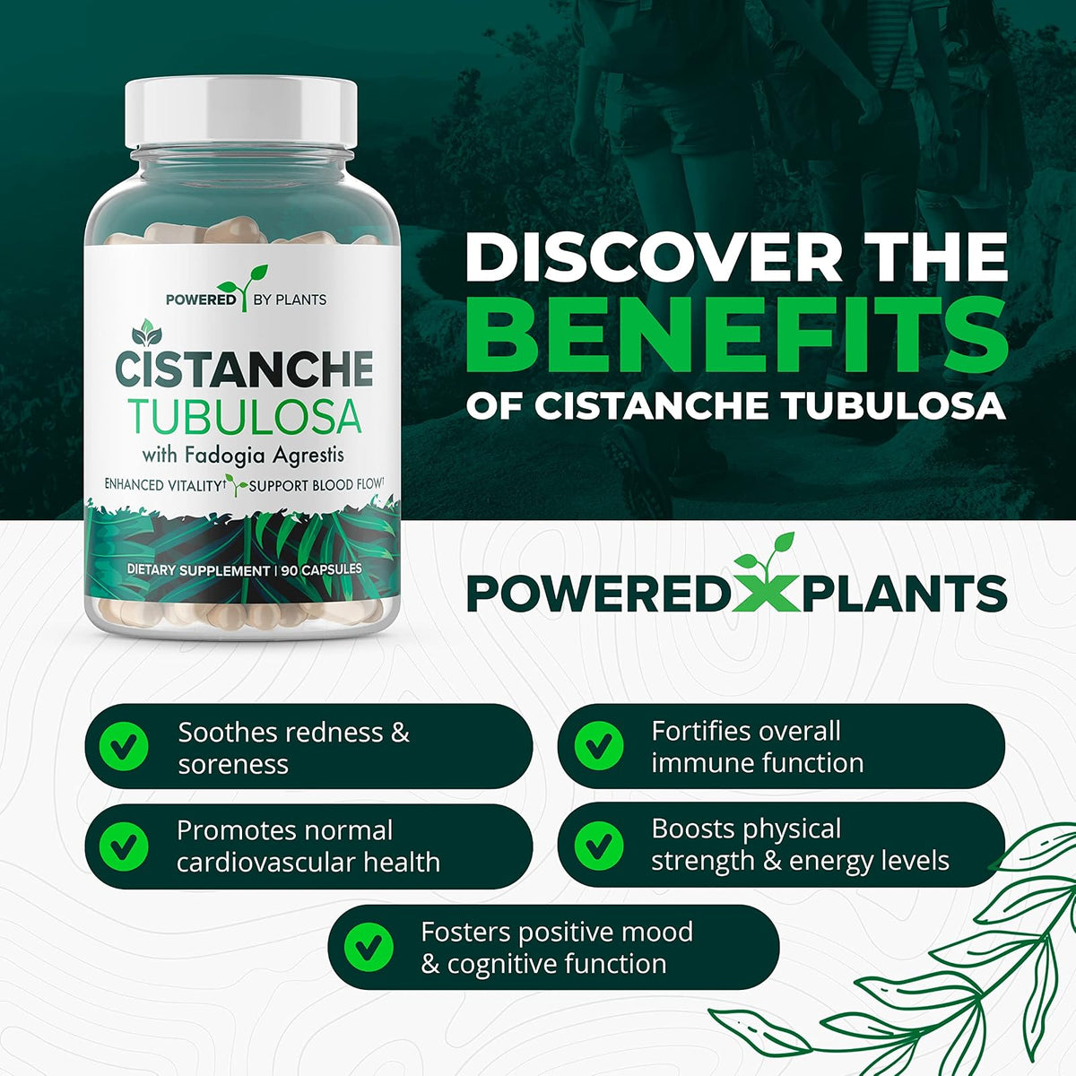 Whole food multivitamin for women