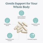 whole food multivitamin for women