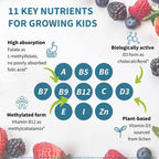 whole food multivitamin gummies