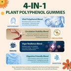 whole food multivitamin gummies