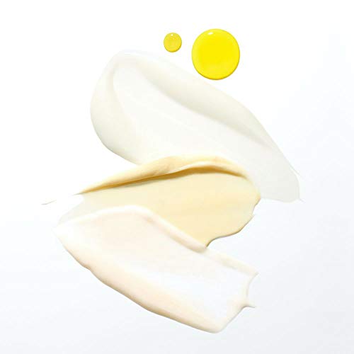 whole food multivitamin oil for daily use