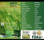 whole food multivitamin powder