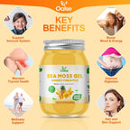whole food multivitamin sea moss gel