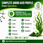 whole food multivitamin Spirulina capsules