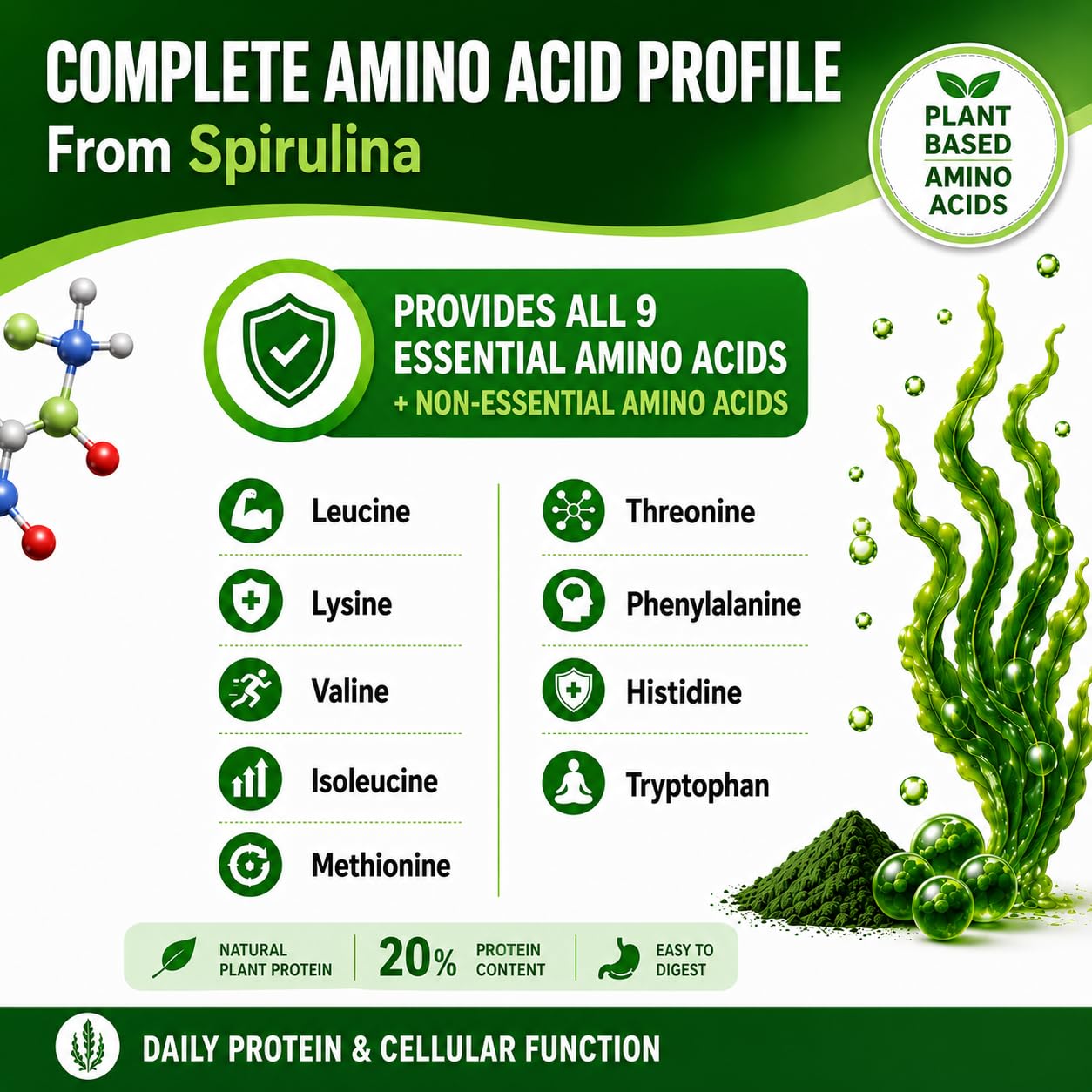 whole food multivitamin Spirulina capsules