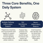 whole food multivitamin supplement