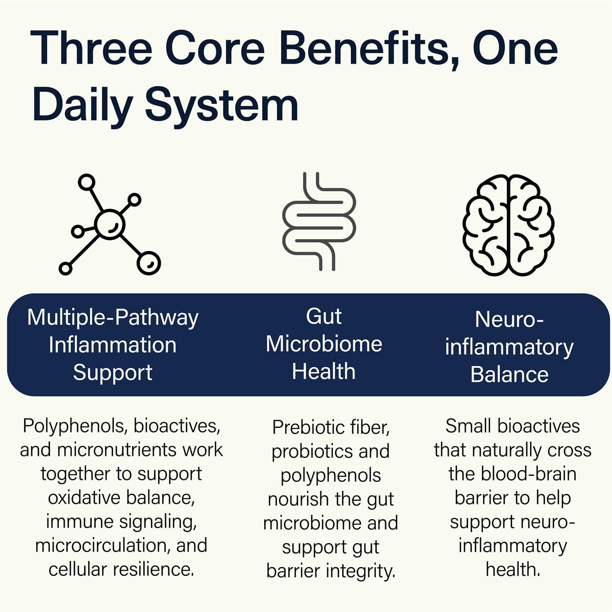 whole food multivitamin supplement
