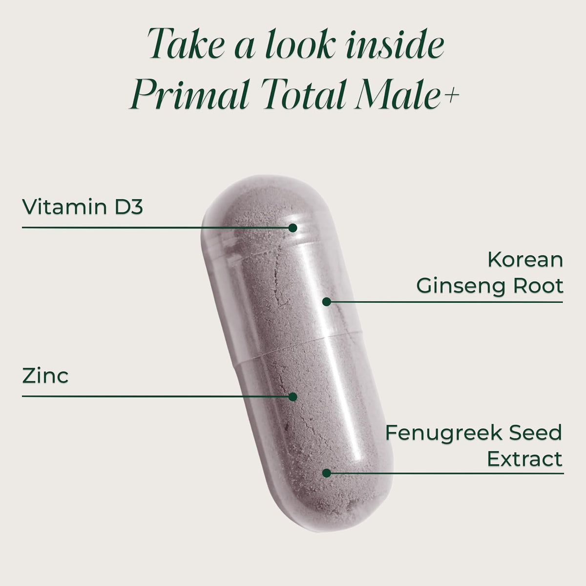 whole food multivitamin supplement