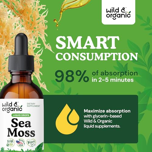 whole food multivitamin supplement
