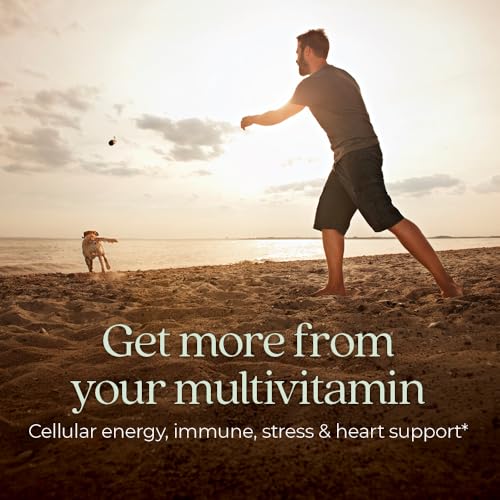 whole food multivitamin tablets