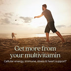 whole food multivitamin tablets