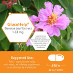 Whole food multivitamin with Banaba leaf