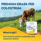 whole food multivitamin with bovine colostrum