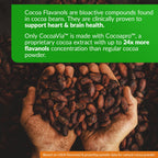 whole food multivitamin with cocoa benefits