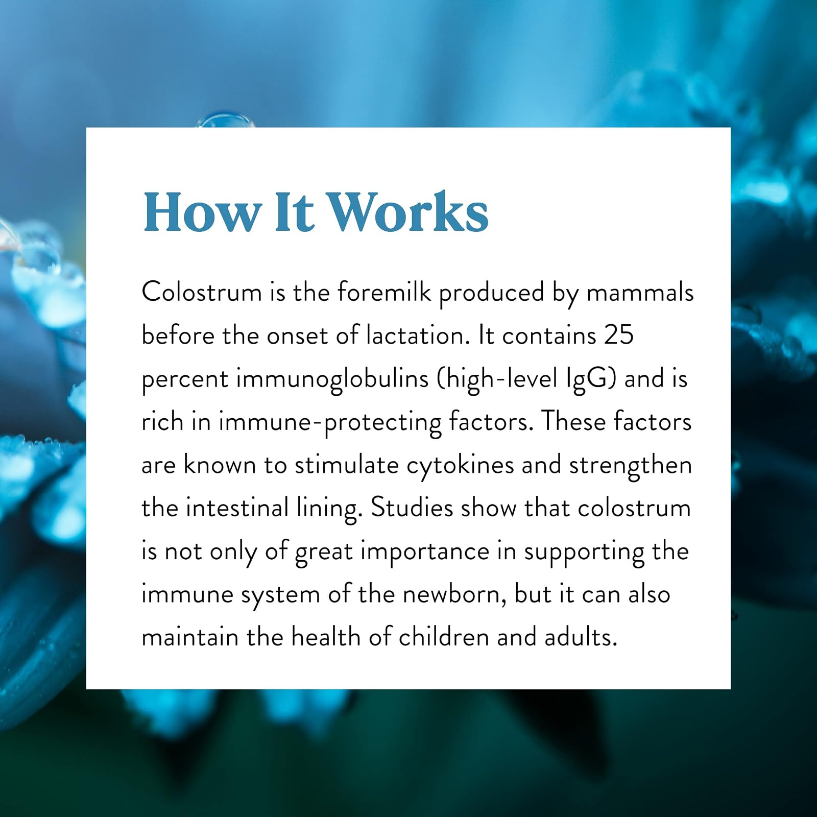 whole food multivitamin with colostrum
